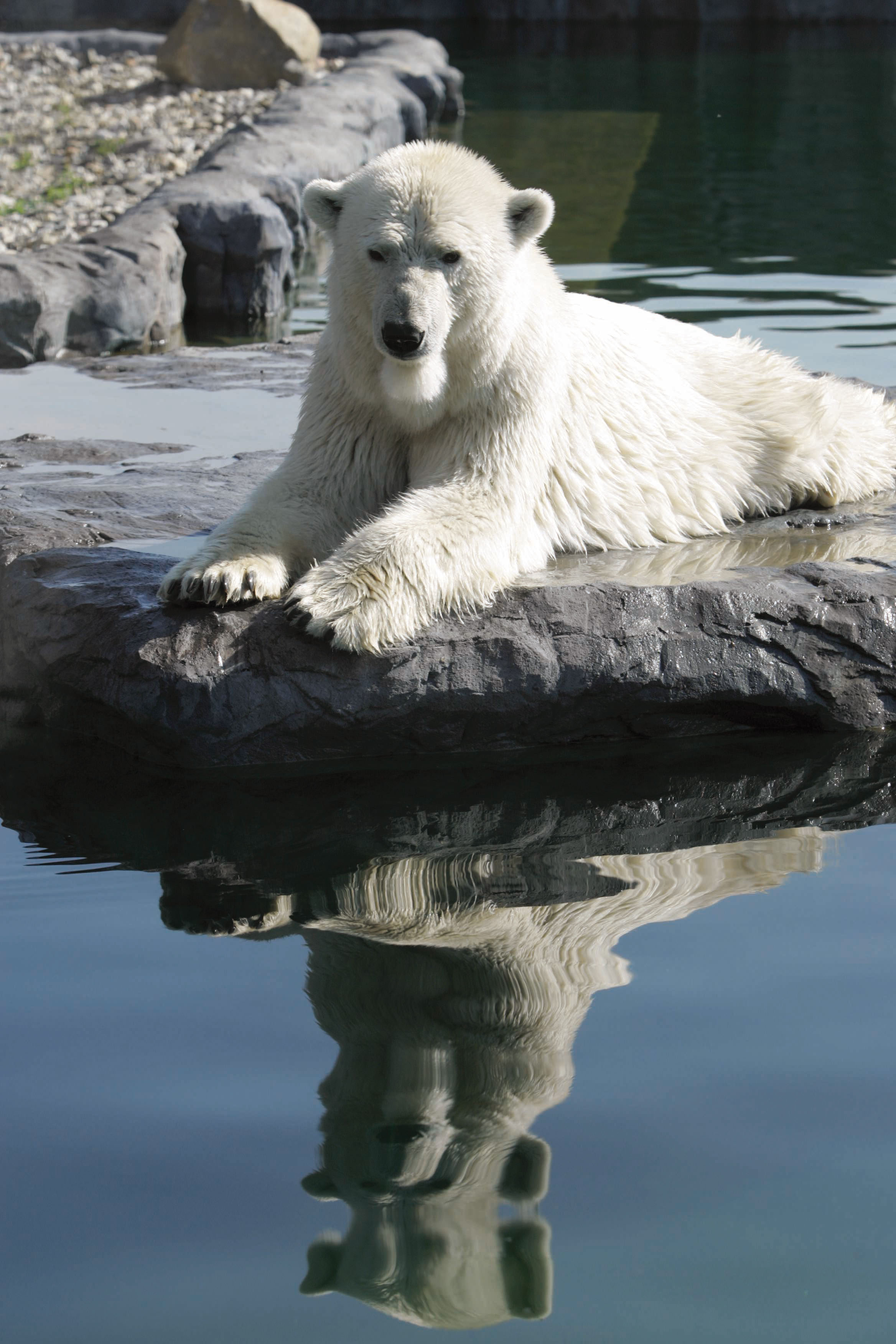 Tierisch tapfer, Süddeutsche TV GmbH, Story - lifePR