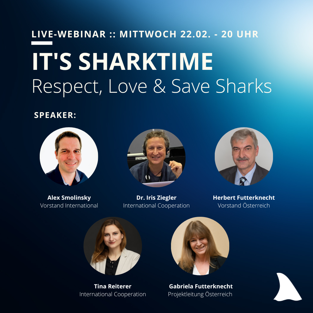 It‘s Sharktime - Respect, Love & Save Sharks, SHARKPROJECT International, Story - lifePR
