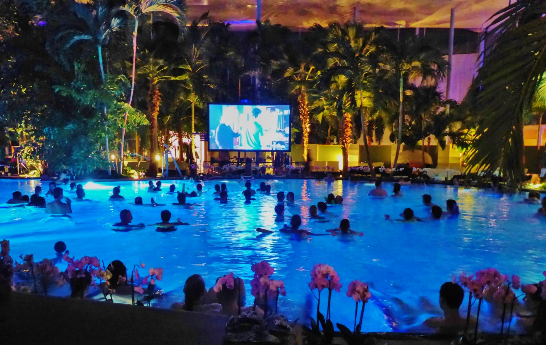 Event-November: Kino unter Palmen & Kinder-Kino, BADEPARADIES ...