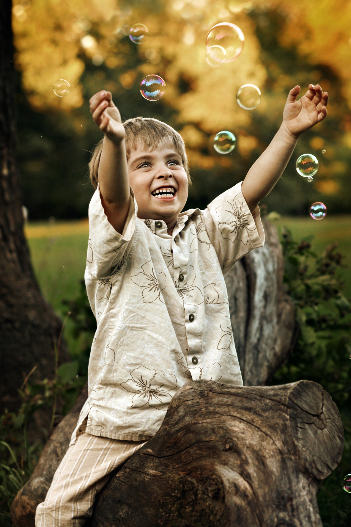 Großer Fotowettbewerb von CeWe Color entschieden, CEWE Stiftung & Co ...