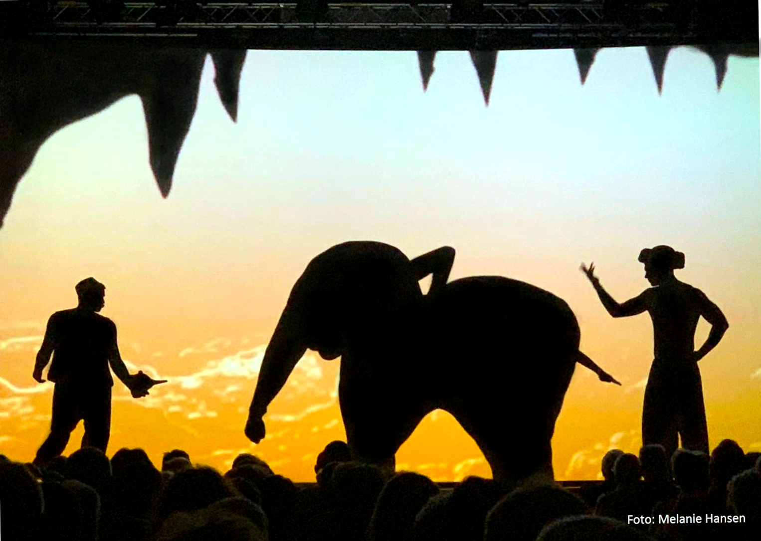 AMAZING SHADOWS - Das unglaubliche Schattentheater aus der Ukraine - ab ...