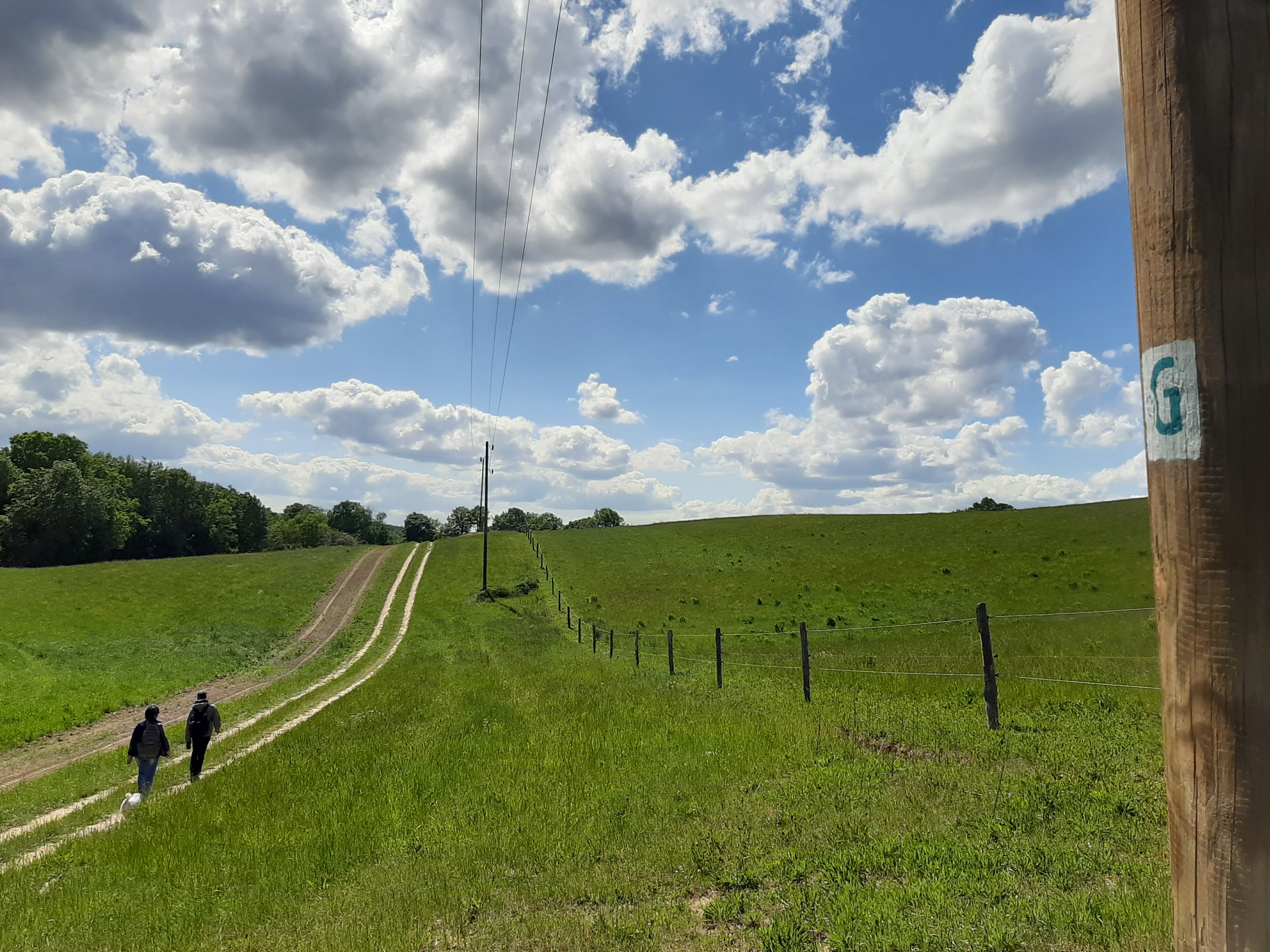 Nachhaltiger Naturtourismus: NEU! Grumsiner Genusswanderweg und ...