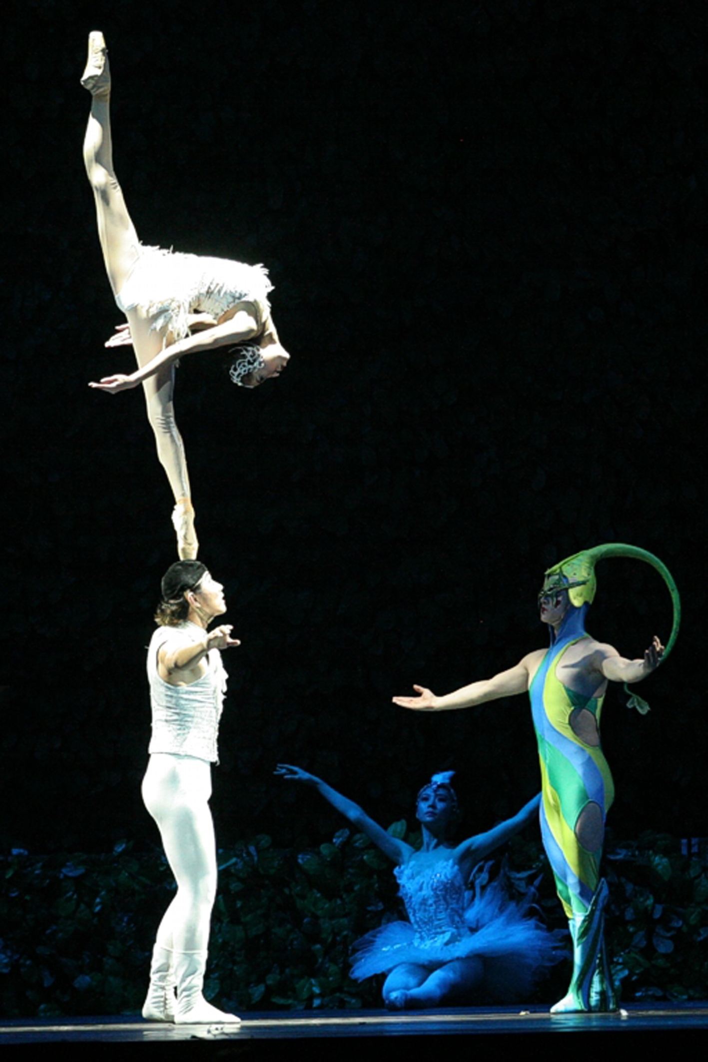 SWAN LAKE-Acrobatic Ballet: Neue Tournee 2010, Robert Wagner ...