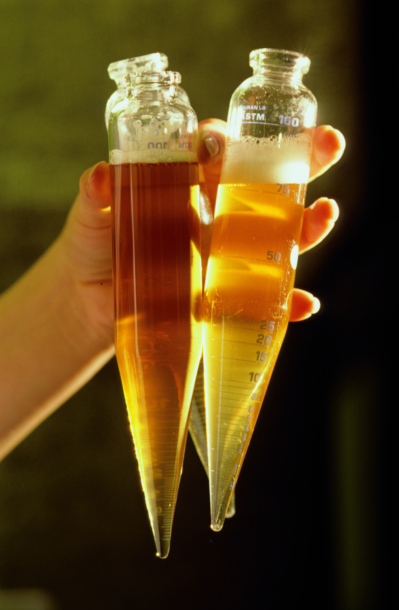 Charakterstarke Biere und Brauer aus Leidenschaft – auch ...