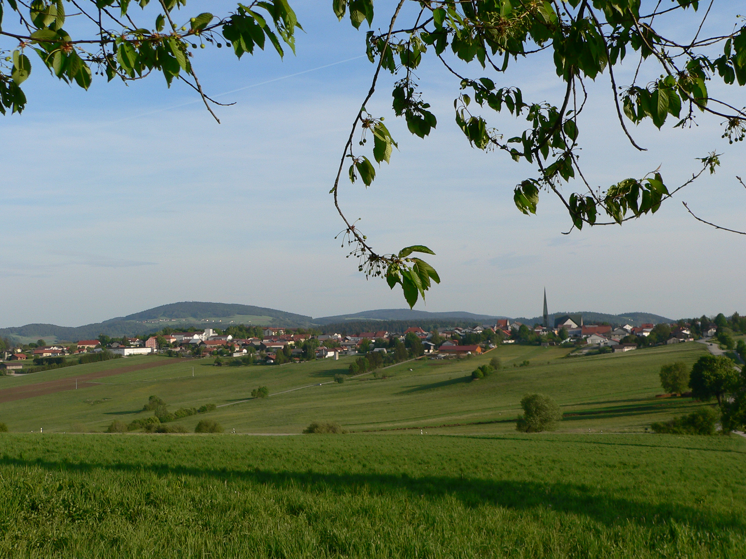 Wegscheid ist der beliebteste Ferienort in ganz Bayern, Tourismus ...