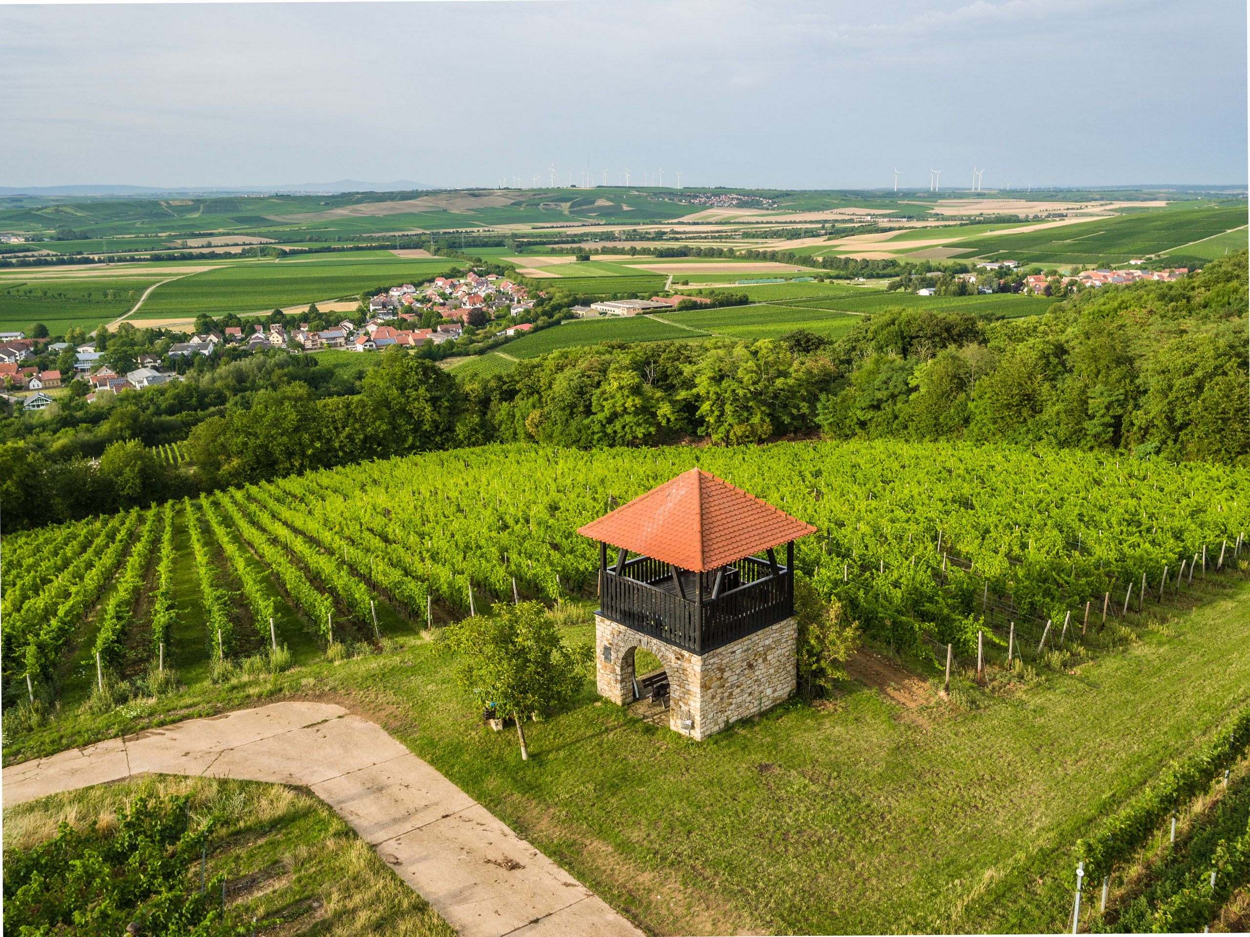 Genusswandern in Rheinhessen, Rheinhessen-Touristik GmbH, Story - lifePR