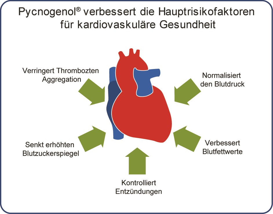 Verbesserte Herzgesundheit dank Meereskieferextrakt, Horphag Research, Story - lifePR