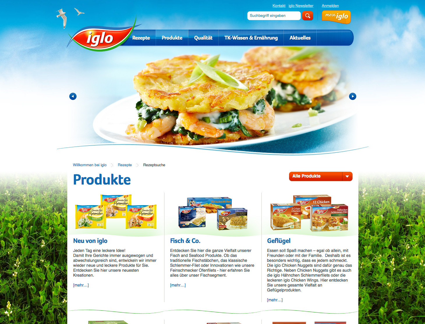 Modern, benutzerfreundlich, lecker: iglo Website präsentiert sich in ...