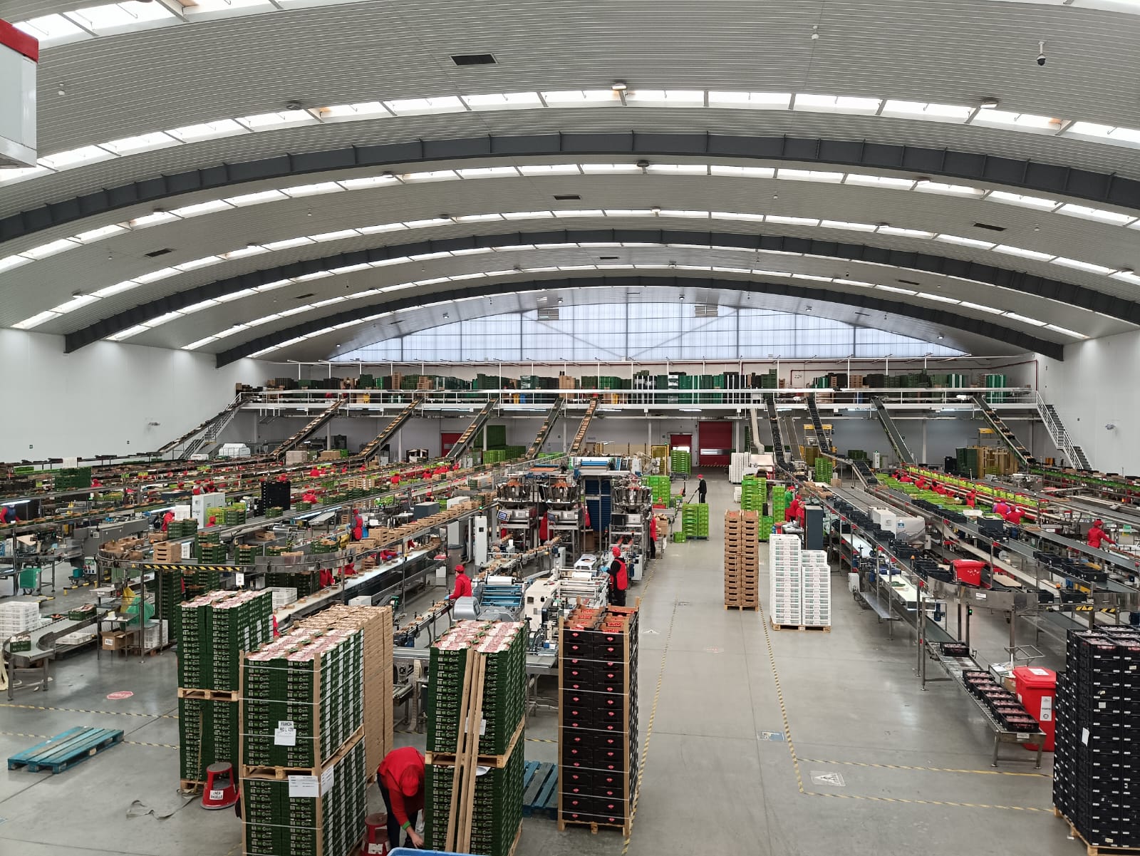 Deutschlands grüne Revolution: Solar-Gemüse & Obst erobern den Markt ...