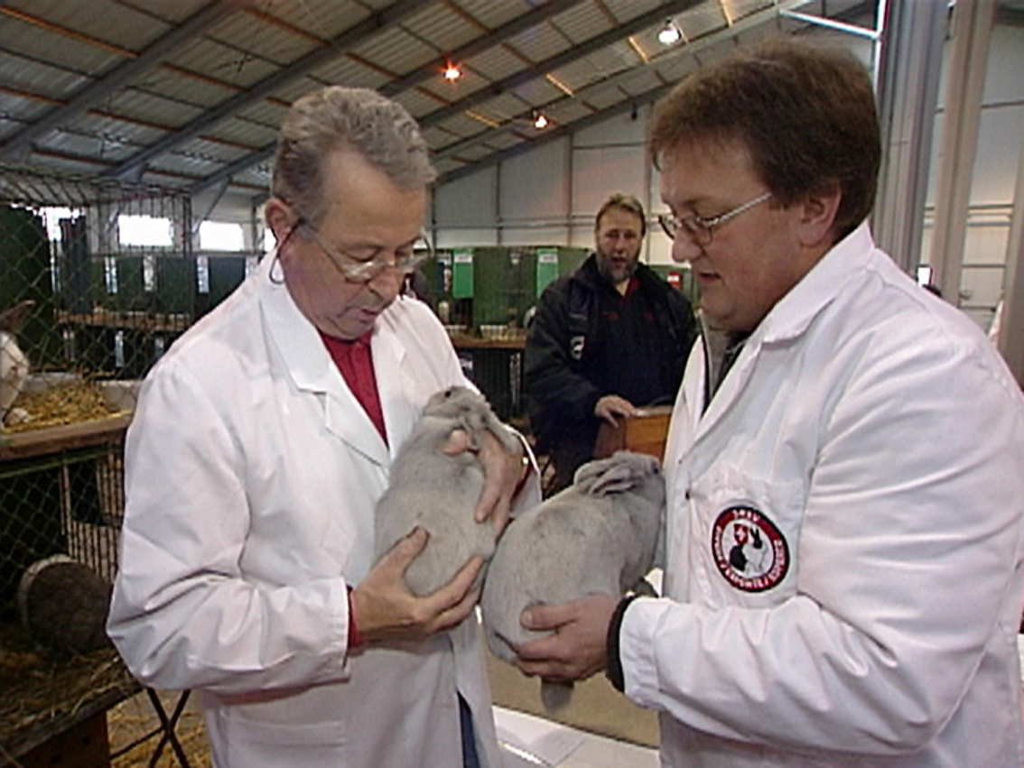 Hübsche Hühner und rassige Rammler, Süddeutsche TV GmbH, Story - lifePR