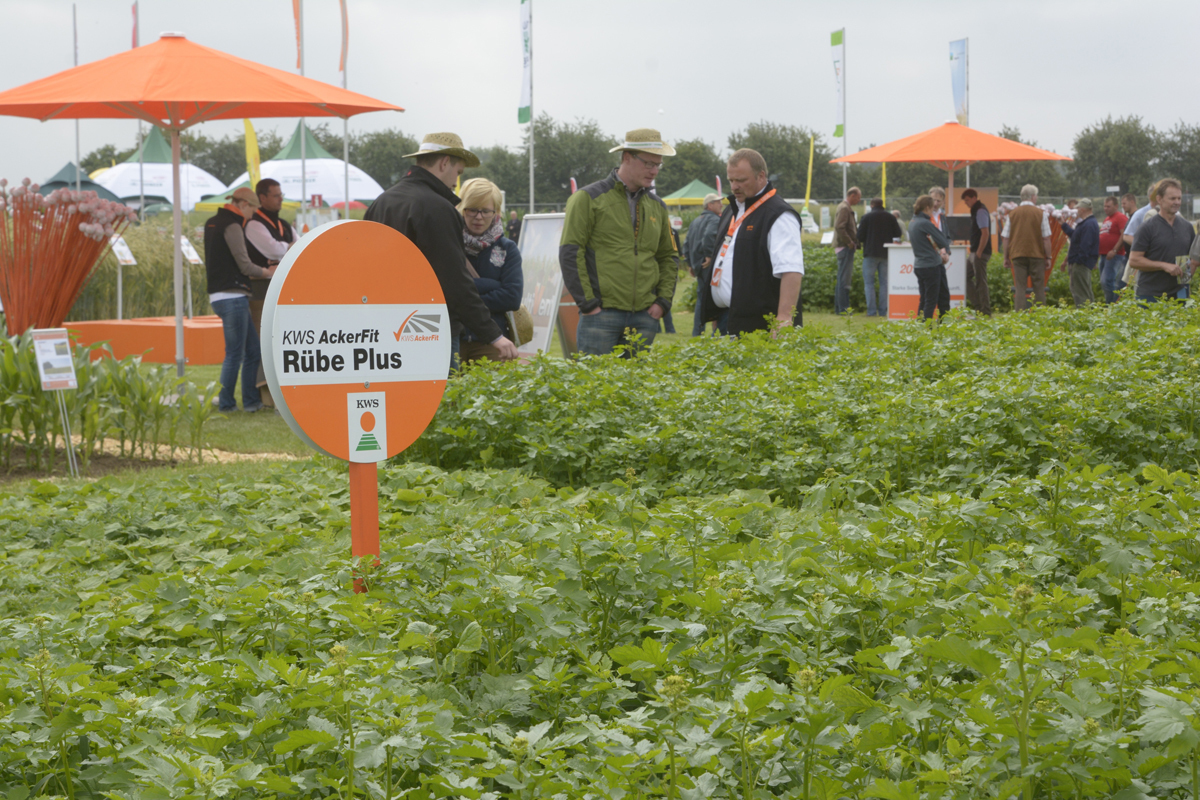 Neue Produktlinie der KWS auf den DLG-Feldtagen vorgestellt ...