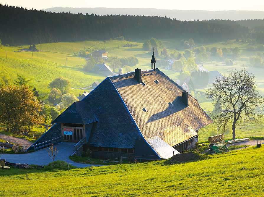 Den Hochschwarzwald im Frühjahr, Sommer und Herbst bei einer geführten ...