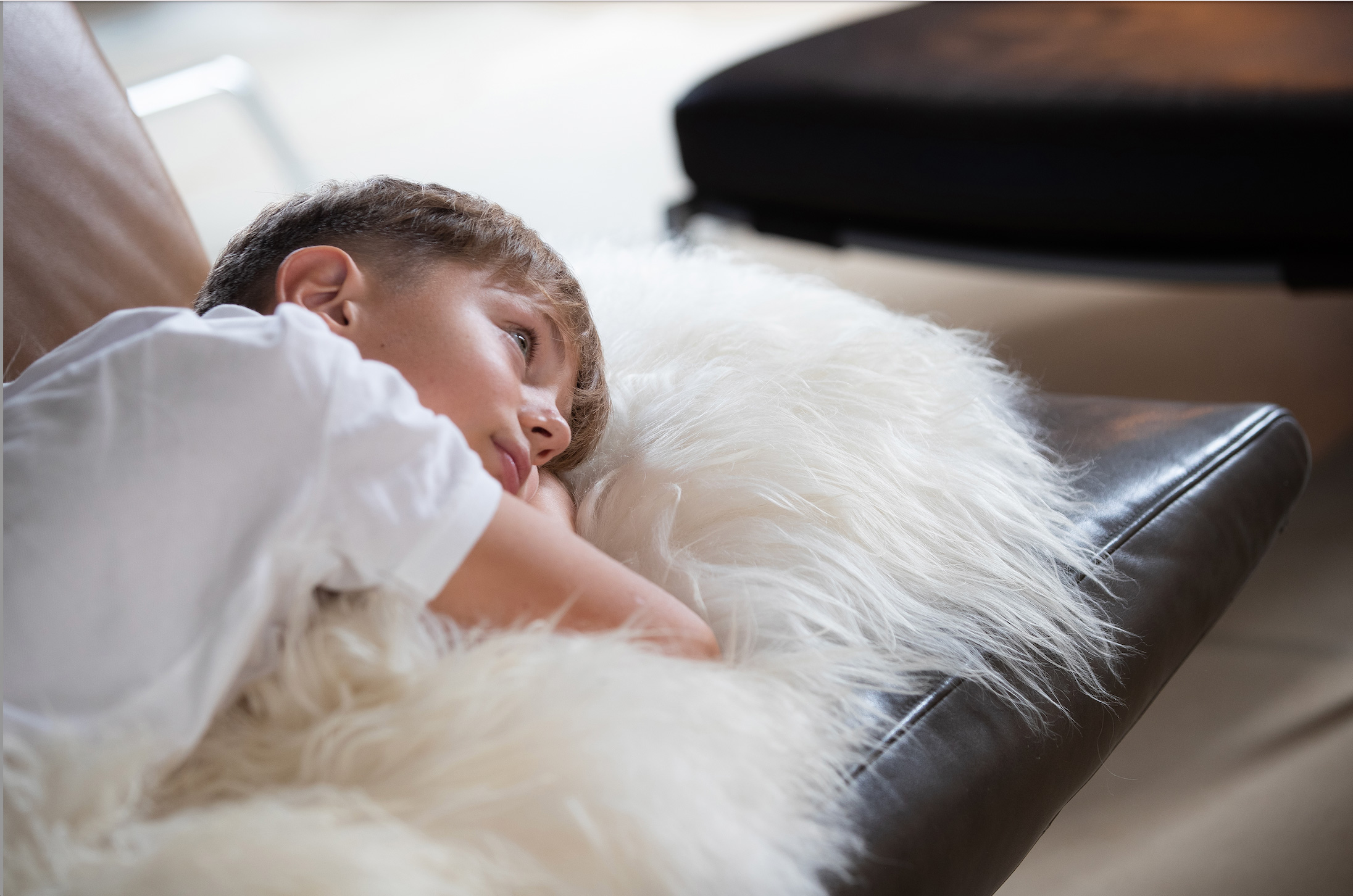 Living closer to nature, EMICODE® | GEV - Gemeinschaft ...