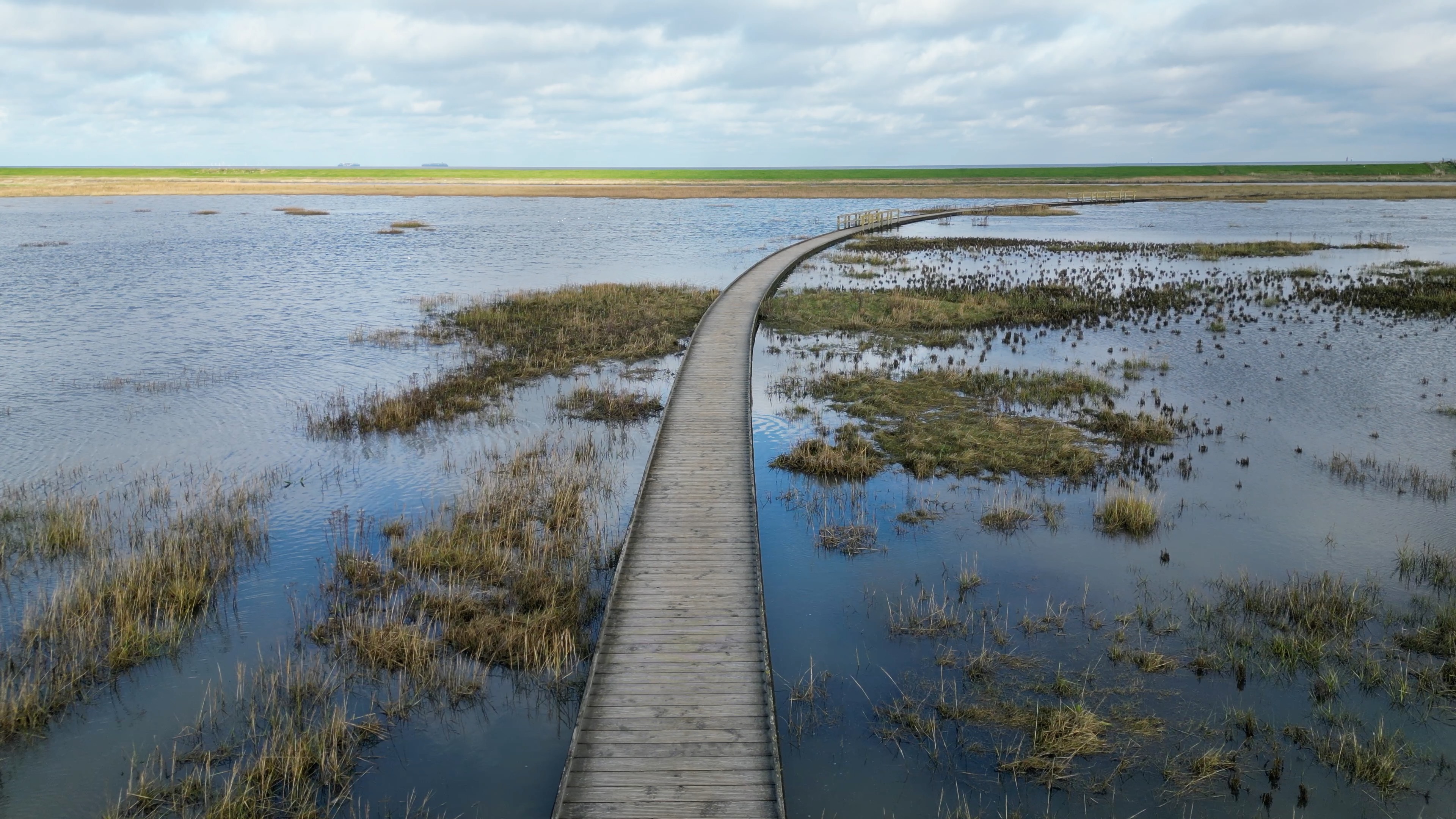 Langwarder Groden im Nationalpark Niedersächsisches Wattenmeer ist ...