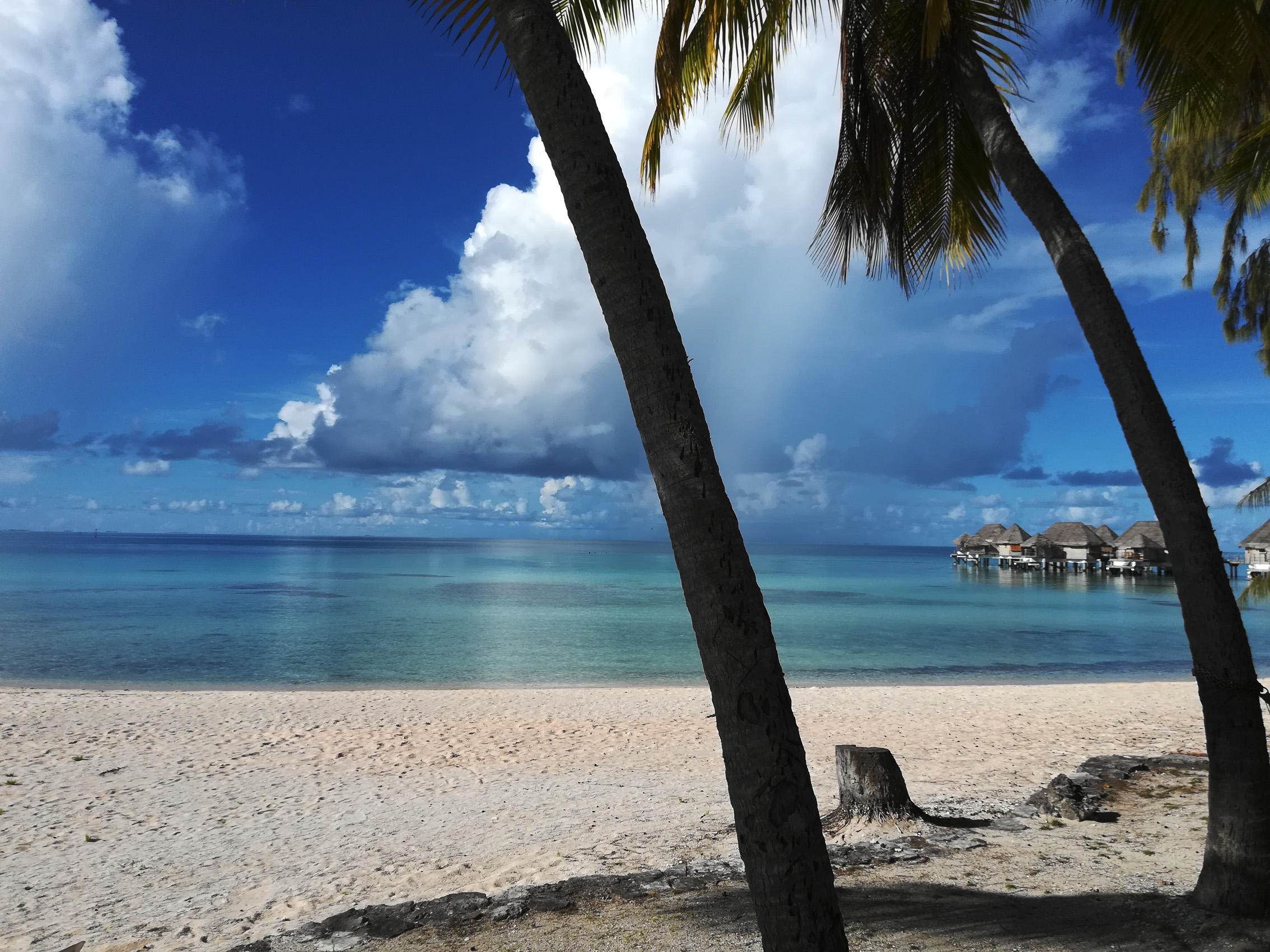 Mit Karawane an rosa Stränden relaxen & mit Haien schnorcheln, Karawane ...