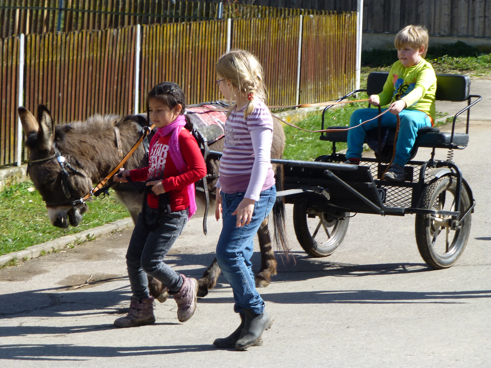 Landluft schnuppern: Bauernhoftage auf dem Freihof-Gelände ...