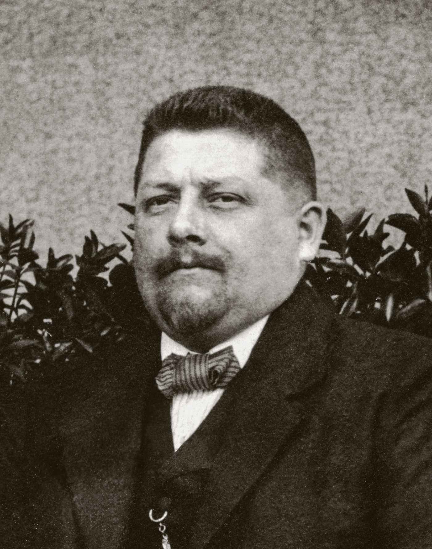 Eine großartige Idee stand am Anfang - 100 Jahre Pfahlbauten am ...