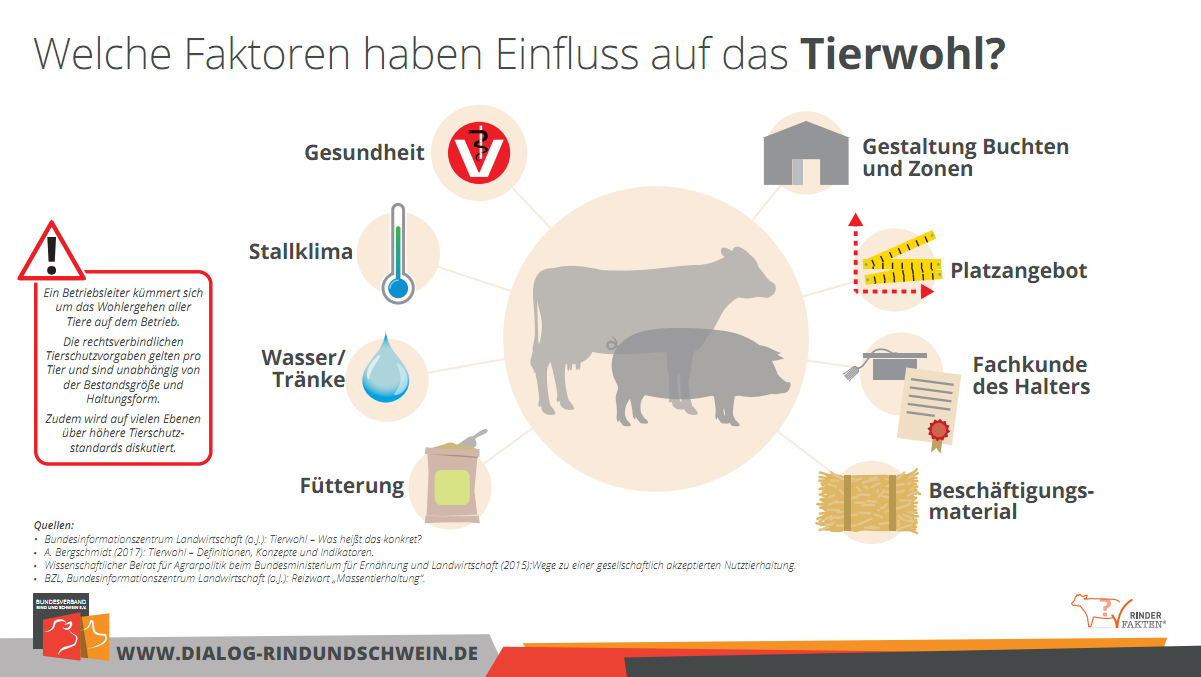 Welttierschutztag - Zahlreiche Faktoren beeinflussen das Tierwohl in ...