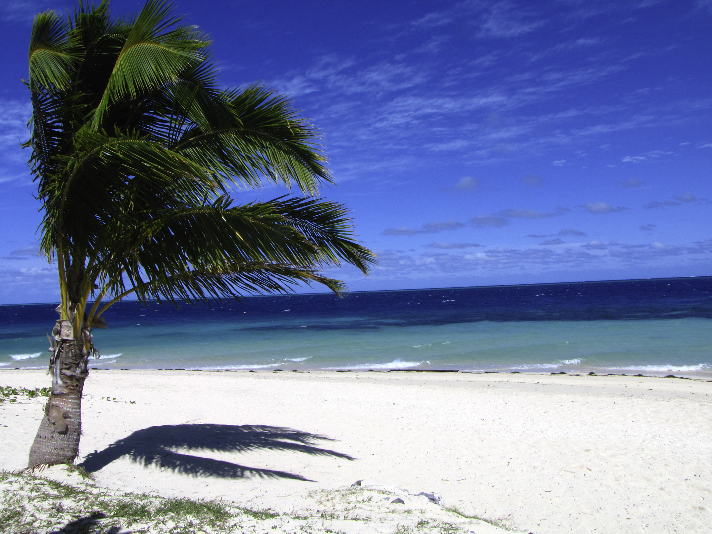 Mit dem MV Fiji Princess durch entlegene Inselwelten, Karawane Reisen ...