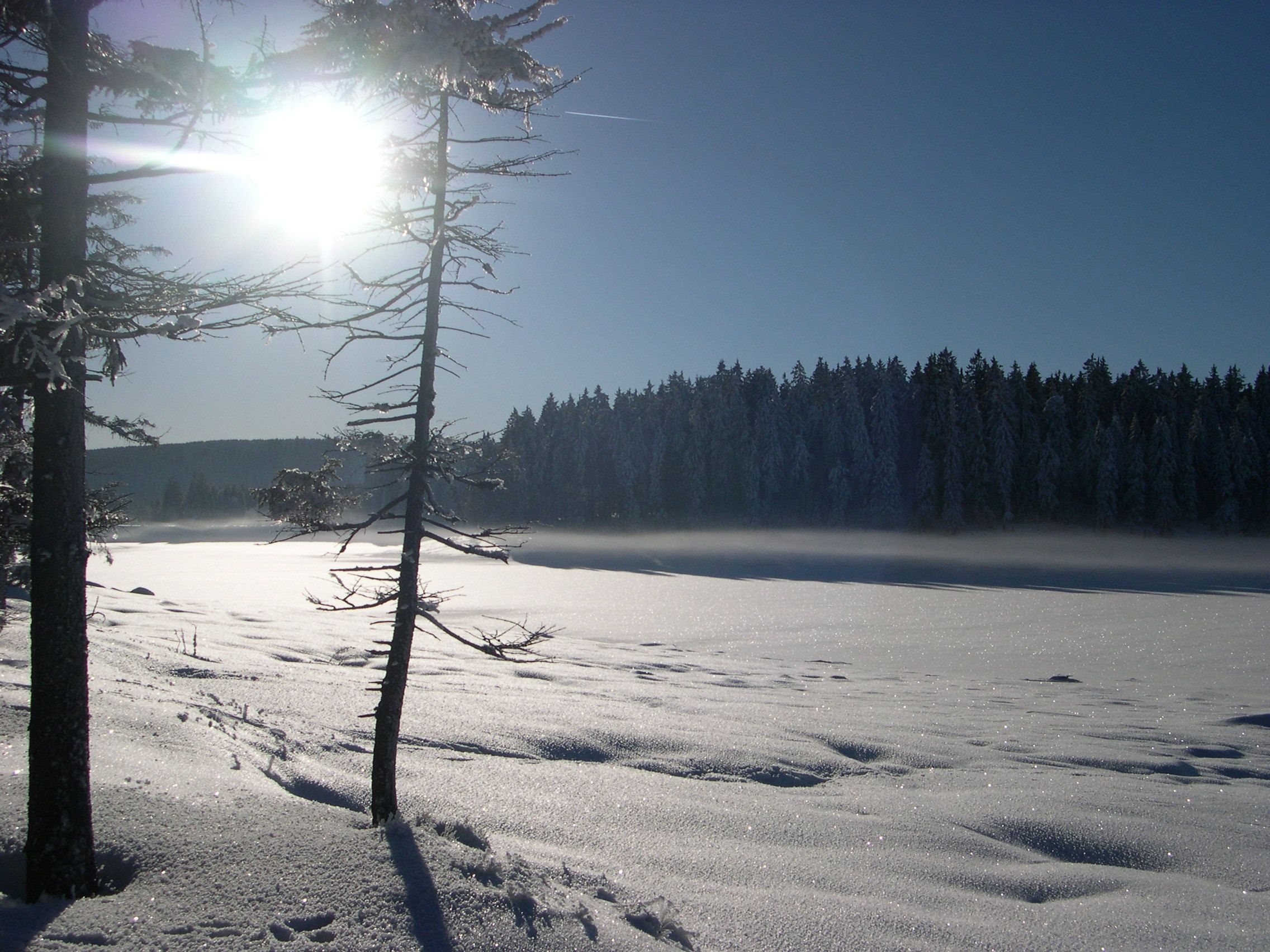 Erster Foto-Bildband zum fusionierten Nationalpark Harz, Nationalpark ...