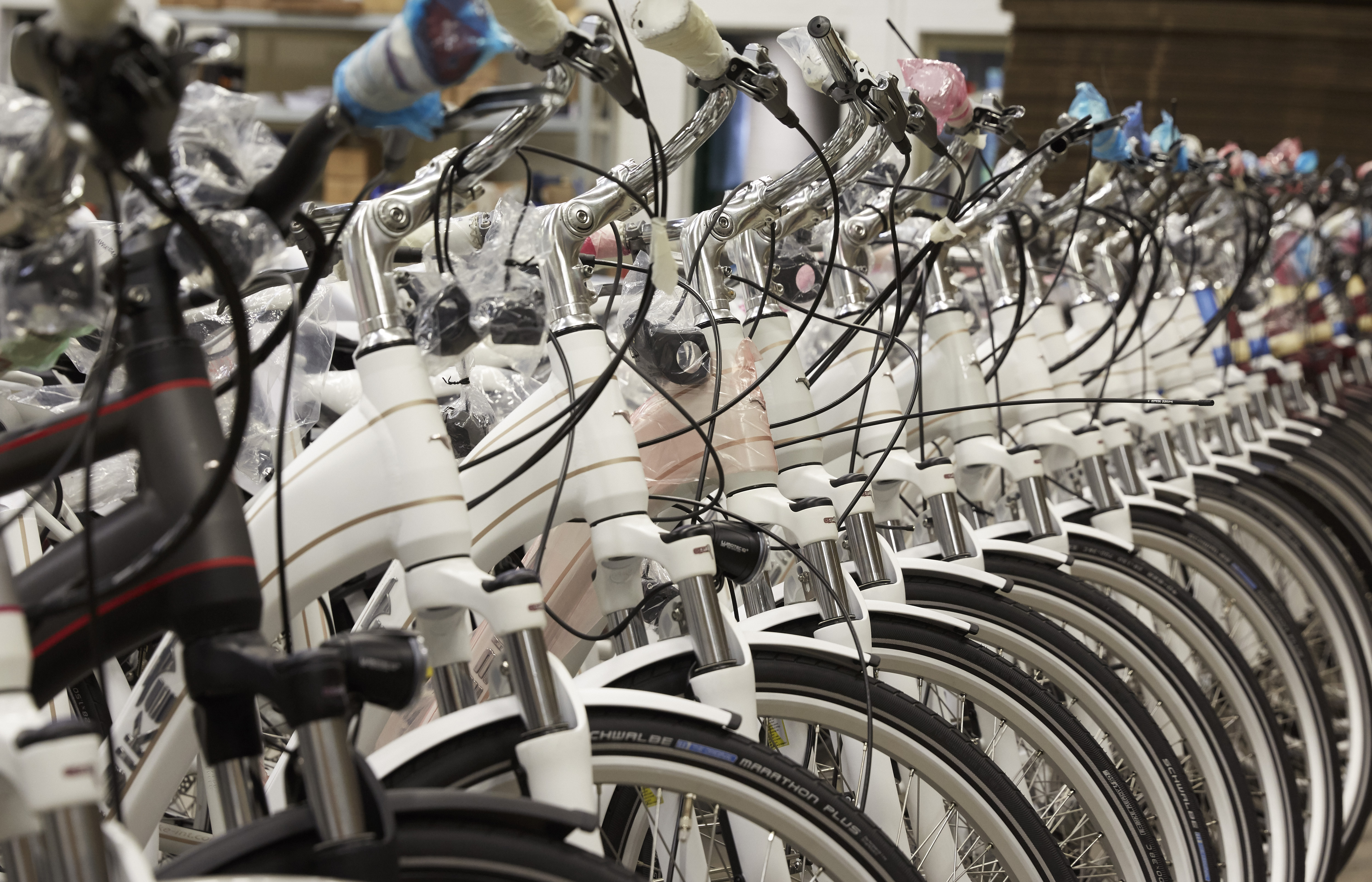 EBIKE.DAS ORIGINAL, E BIKE Advanced Technologies GmbH, Story - lifePR