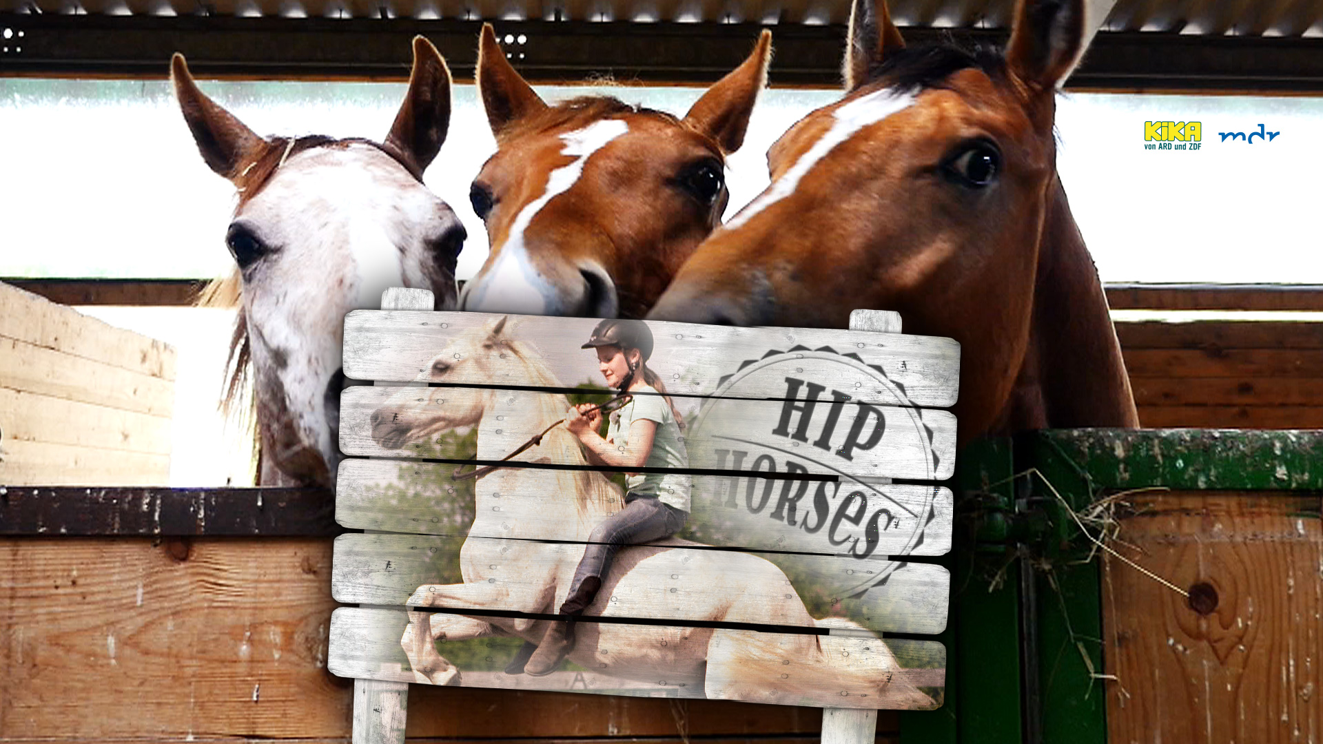Beliebte KIKA-Pferde-Serie "HIPHORSES" - 1.Staffel jetzt als limitierte ...