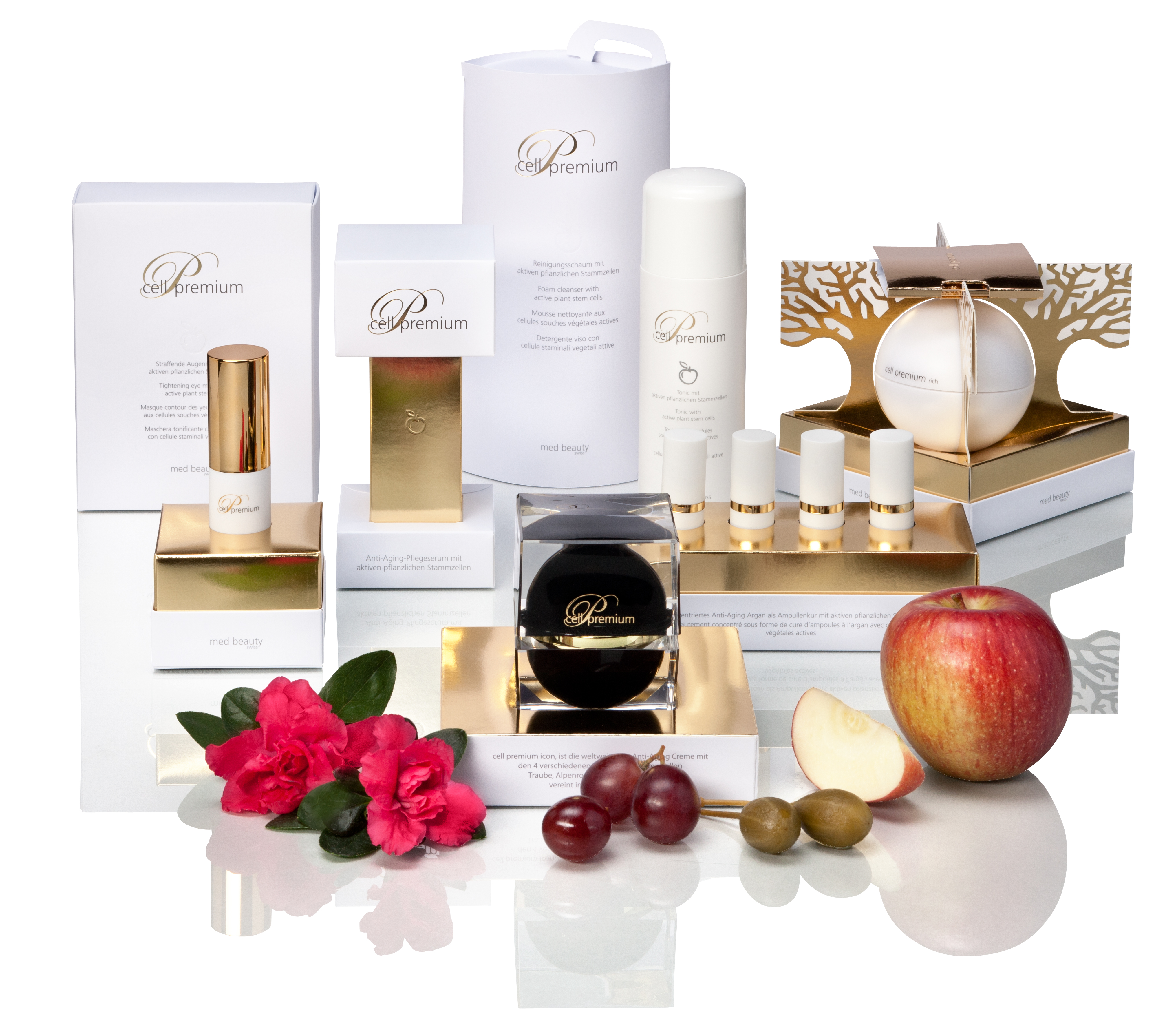 cell premium icon by Dr. Harald Gerny - "Jugendliche Haut. Ein Leben ...