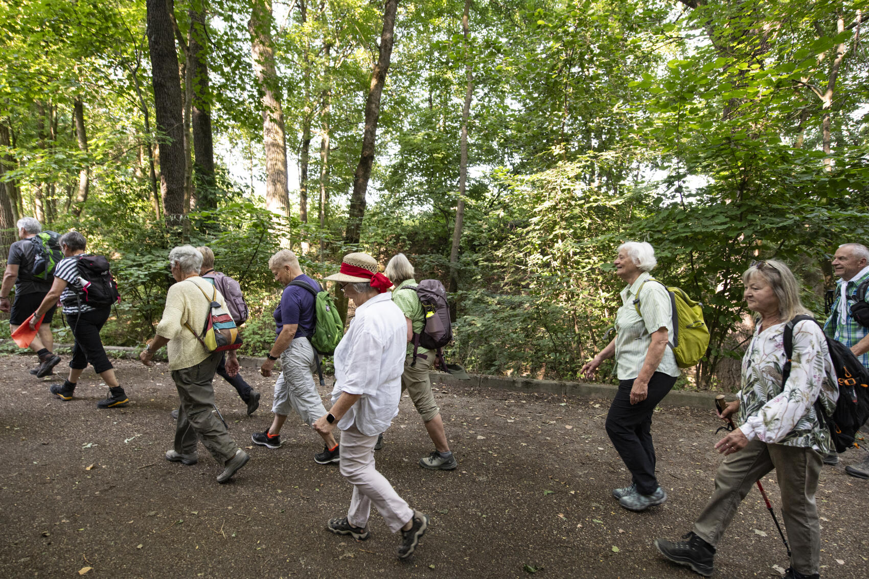 Wandern mehr als Freizeitbeschäftigung, Deutscher Wanderverband, Story ...