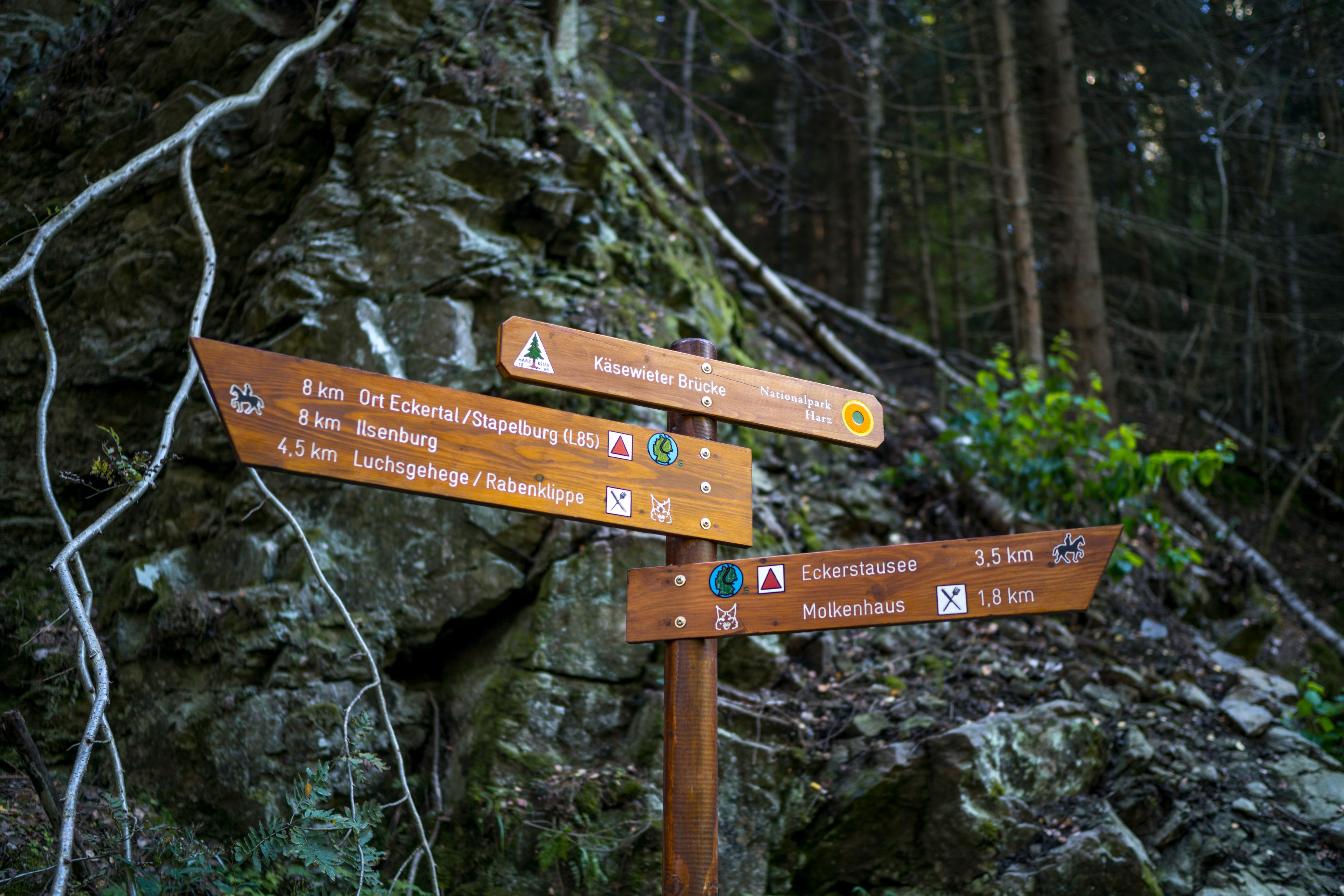 Wanderung rund um Bad Harzburg, Kur-, Tourismus- und ...