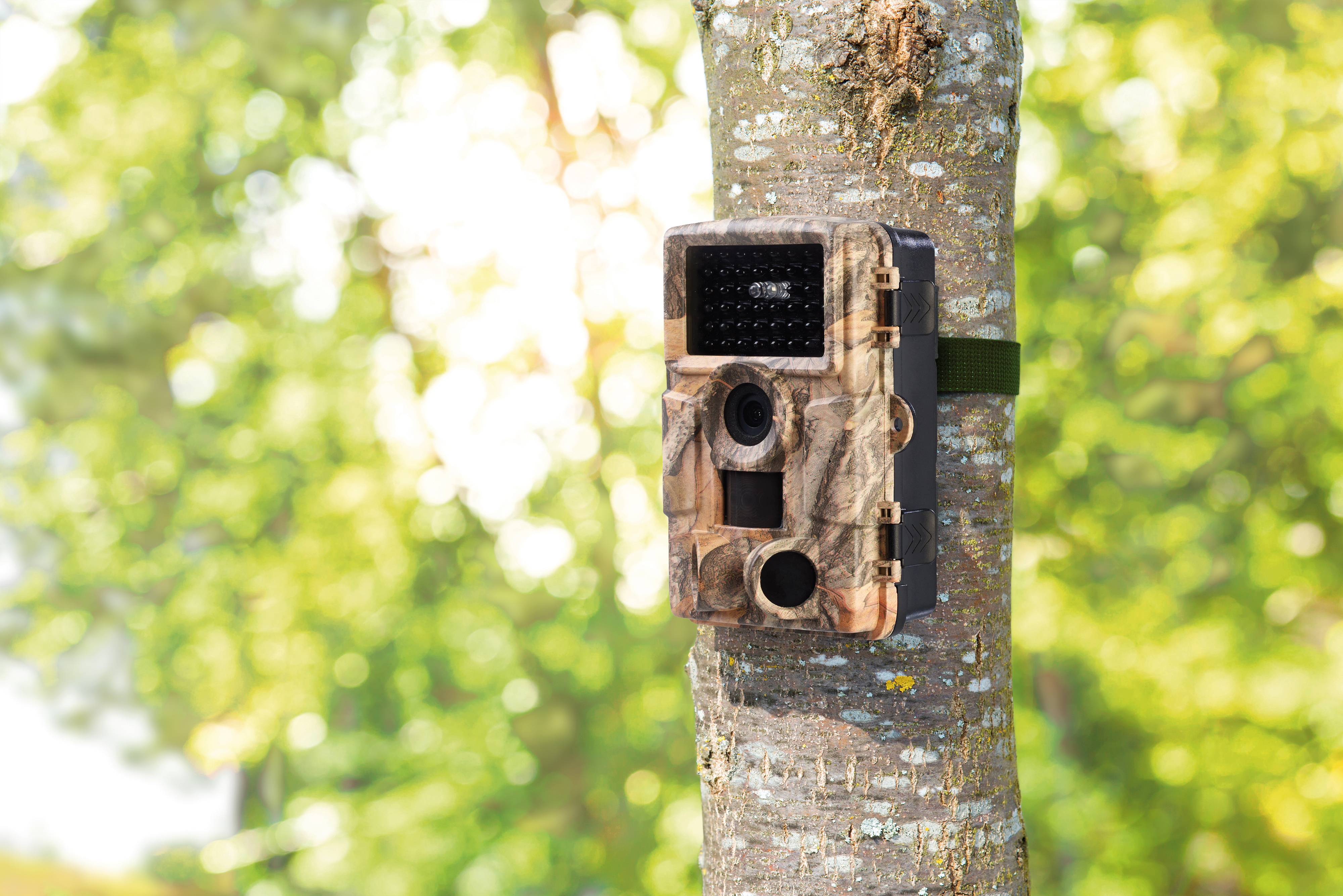VisorTech WLAN-Full-HD-Wildkamera WK-605.app mit 120°-PIR, Nachtsicht ...