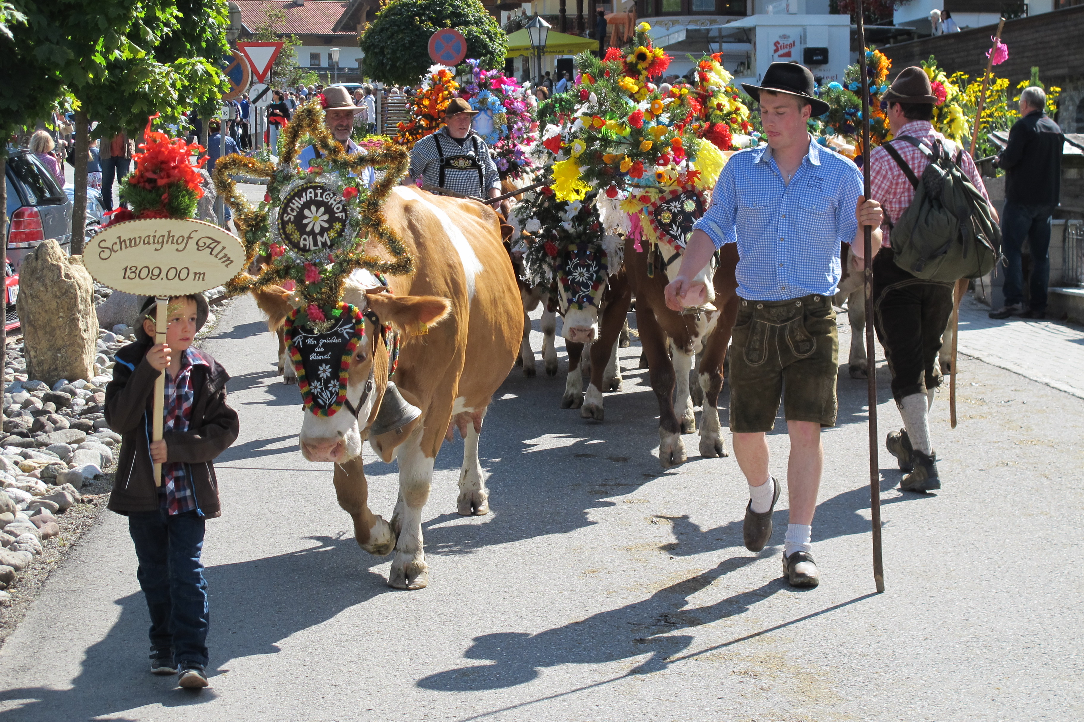 Melchermus - Gru-Nacht - Almabtrieb – was bedeutet ein Bart auf der Alm ...
