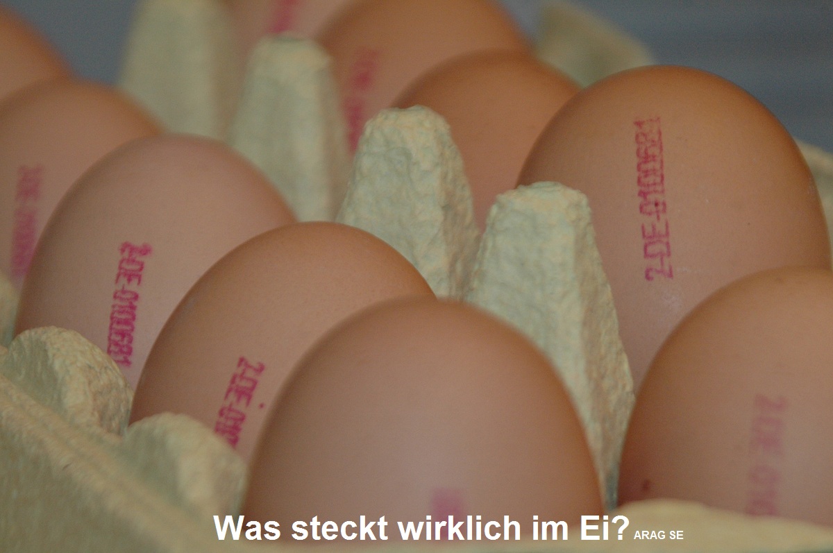 Insektizid-Skandal: So erkennen Sie belastete Eier, ARAG SE, Story - lifePR