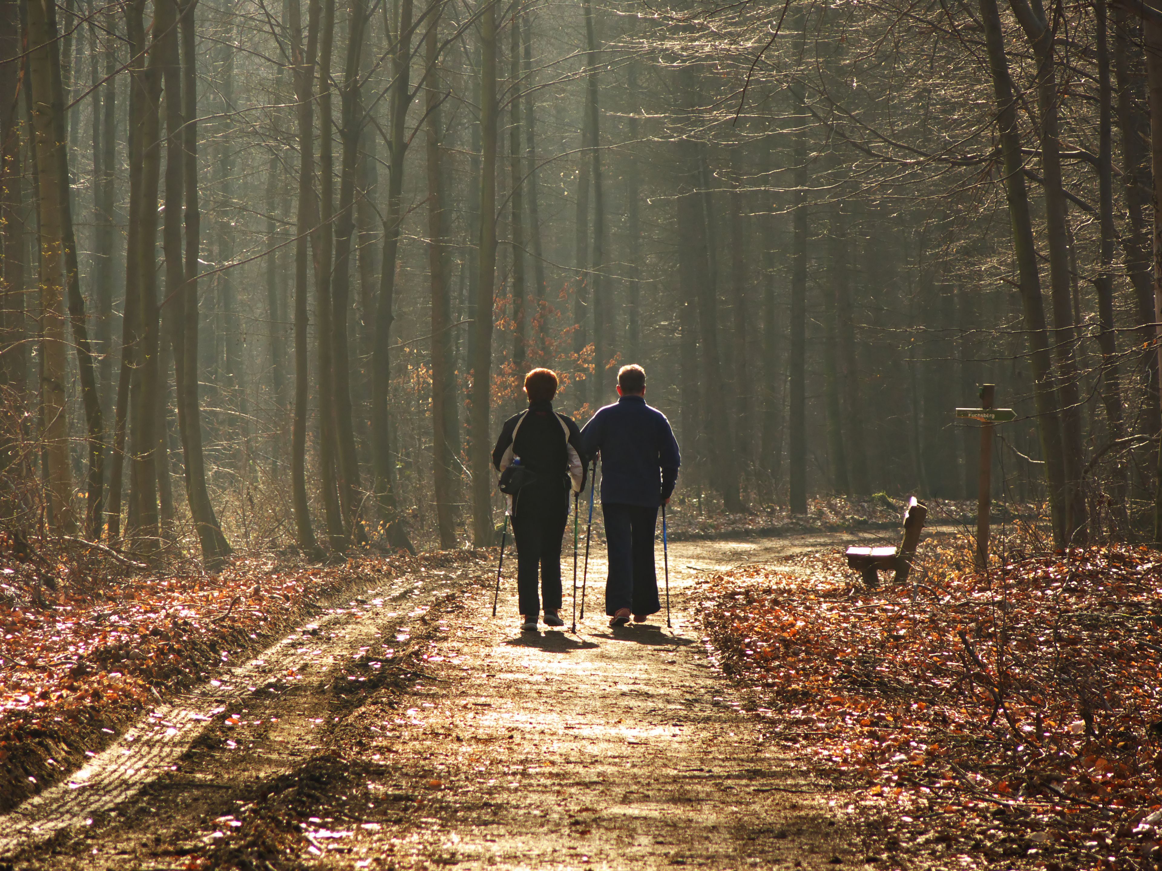 Wanderung zu den Gestütswiesen und zum Wildgehege, Kur-, Tourismus- und Wirtschaftsbetriebe der ...