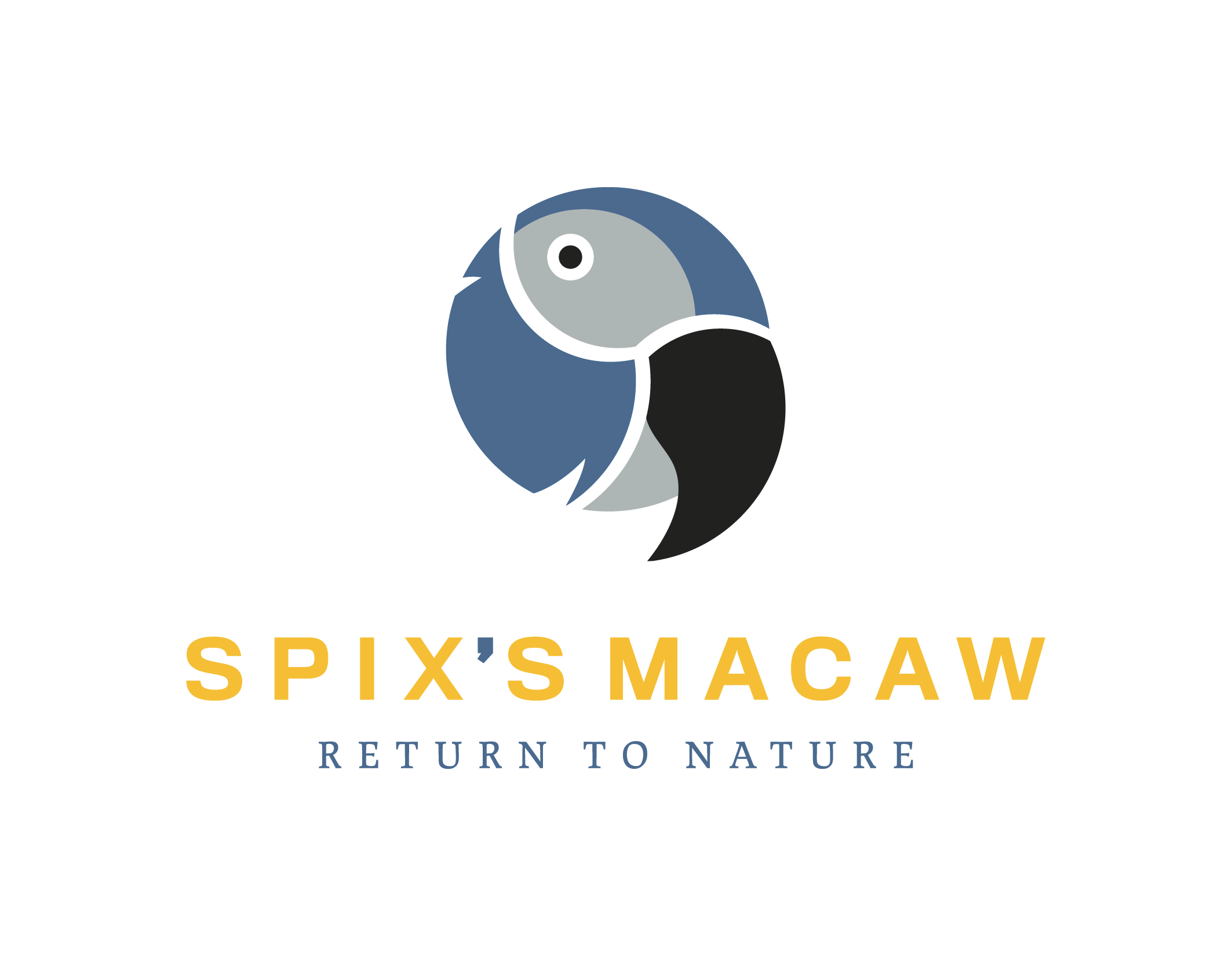 World sensation: Return of a parrot species extinct in the wild, (Engl ...