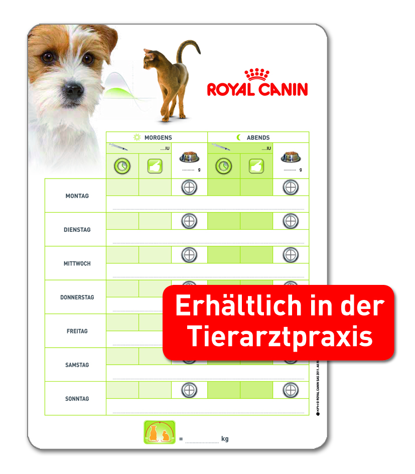 Praktischer Kühlschrankmagnet für Halter von Tieren mit Diabetes ...