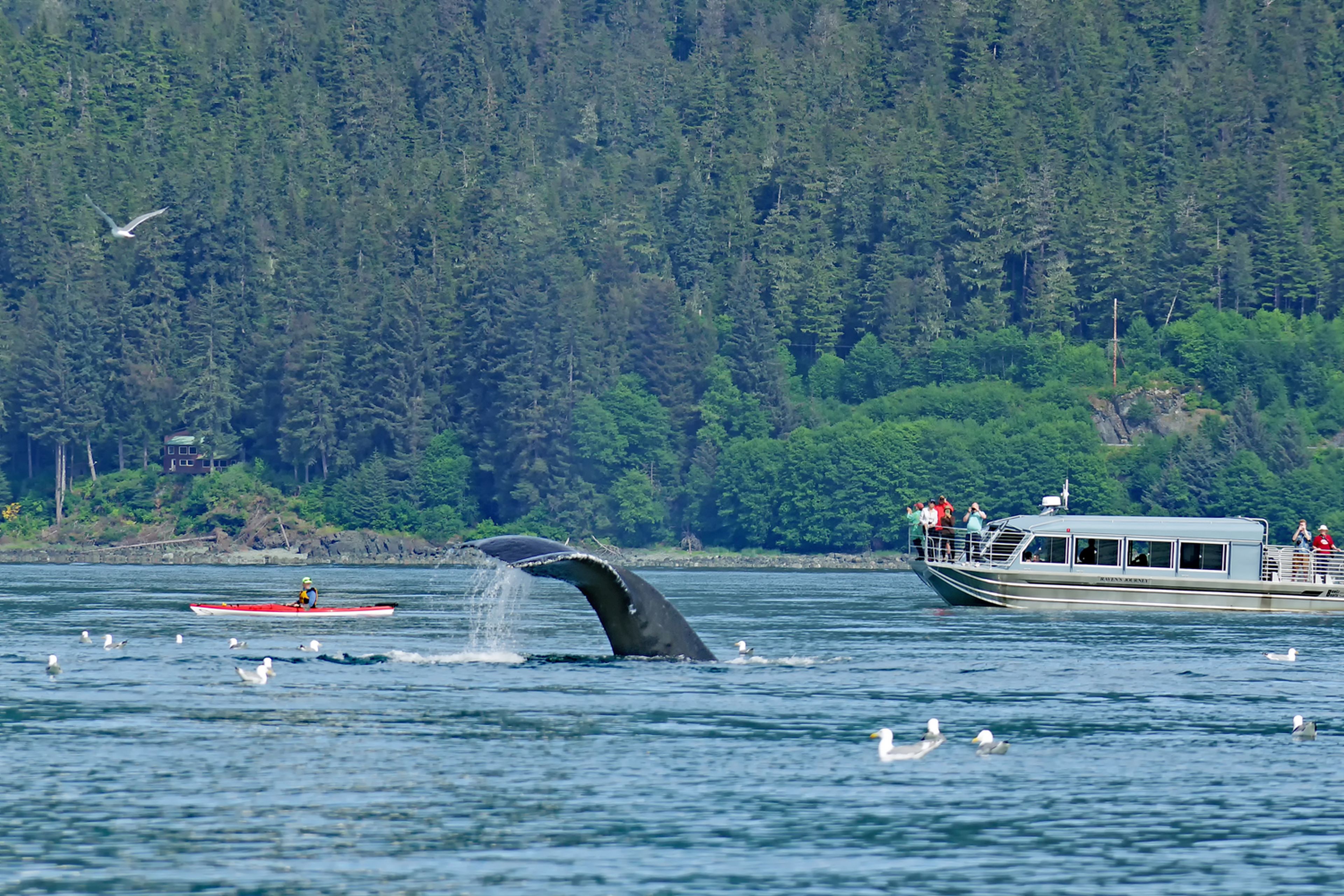 Multivisions-Show: 5.000 km per Fahrrad von Vancouver nach Alaska am 03 ...