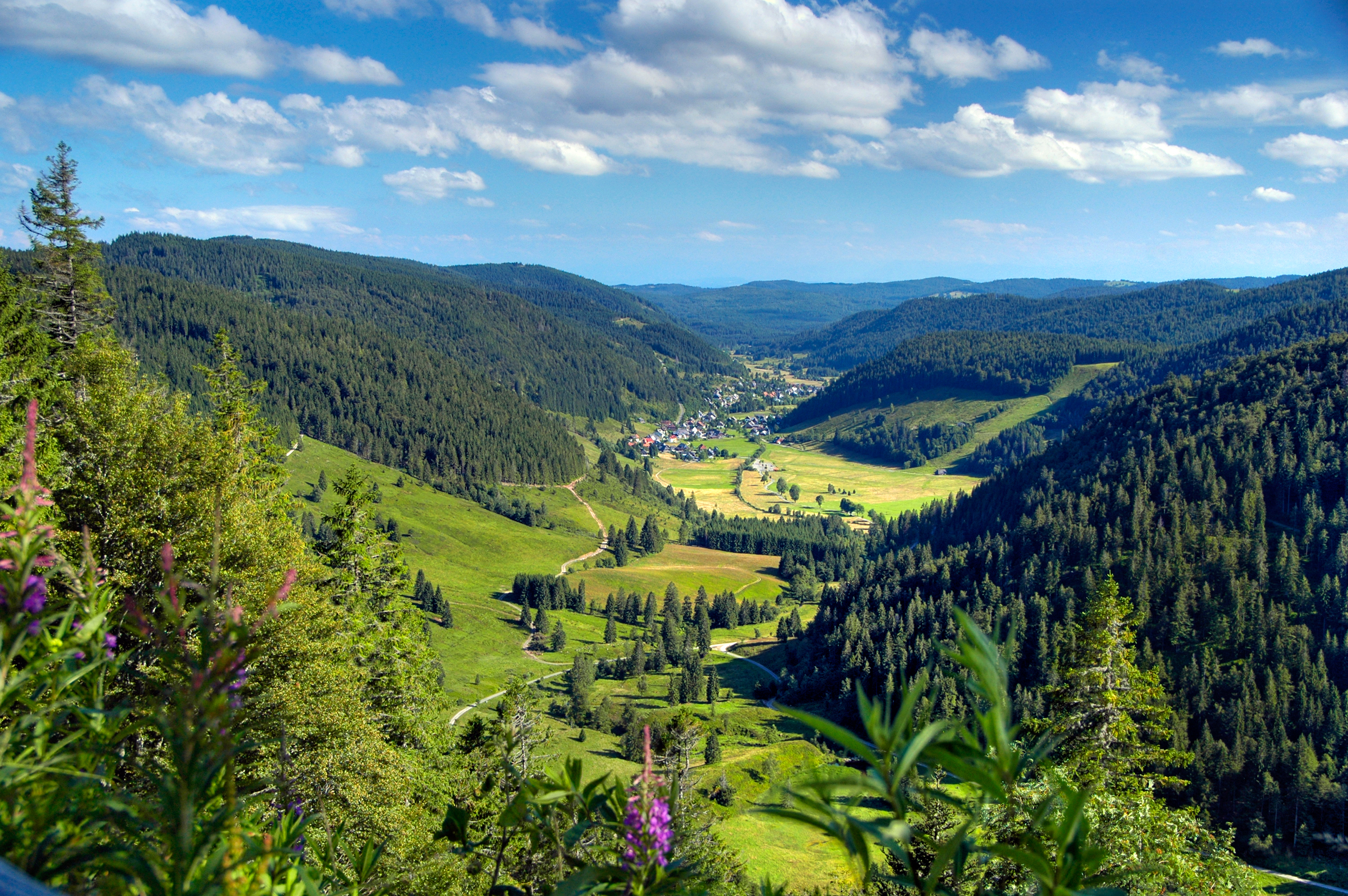 Neuer Premiumwanderweg im Hochschwarzwald: Genusswandern auf dem ...