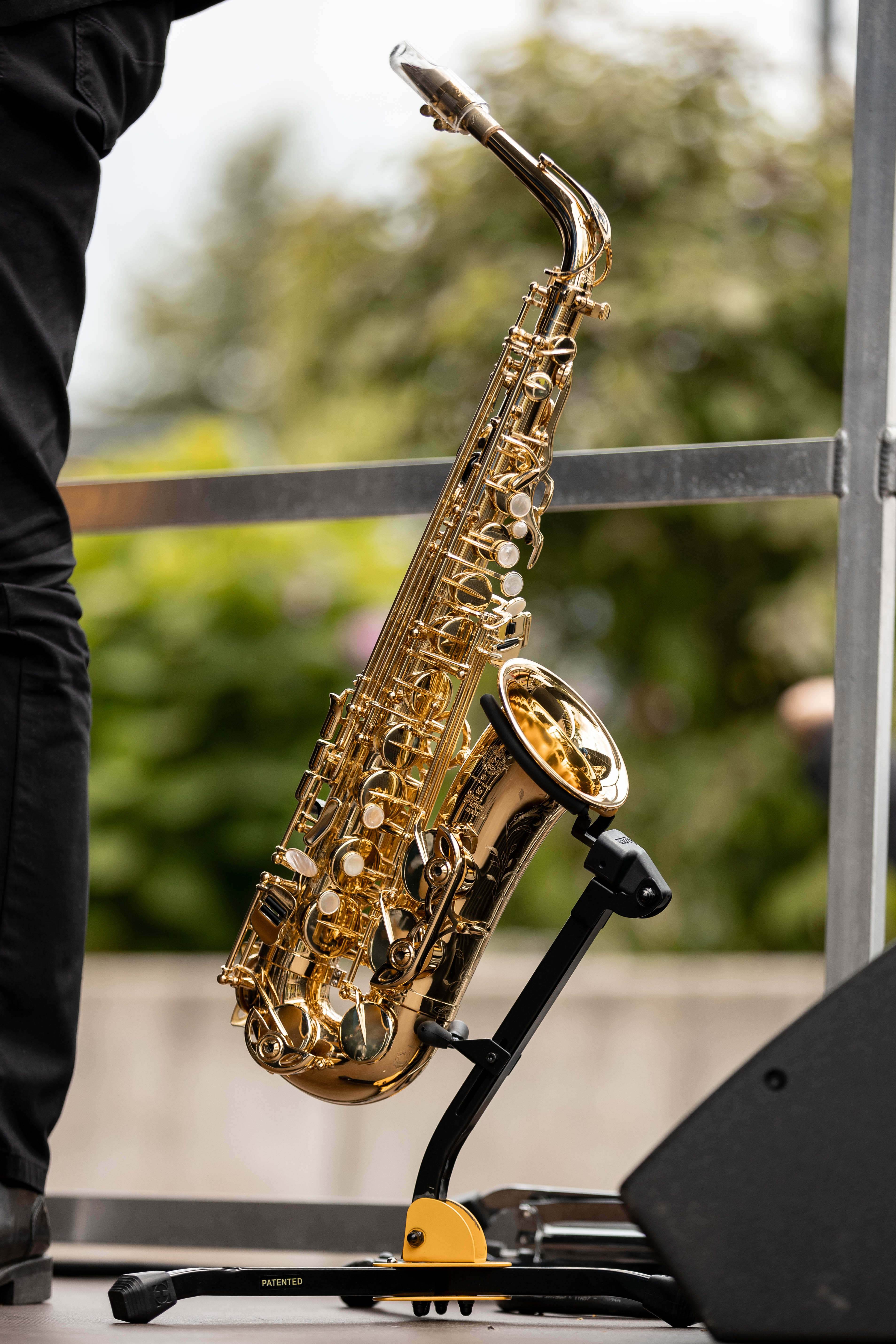 Sommerfest 2025 im Oberschlesischen Landesmuseum: Ein Fest für Herz und ...